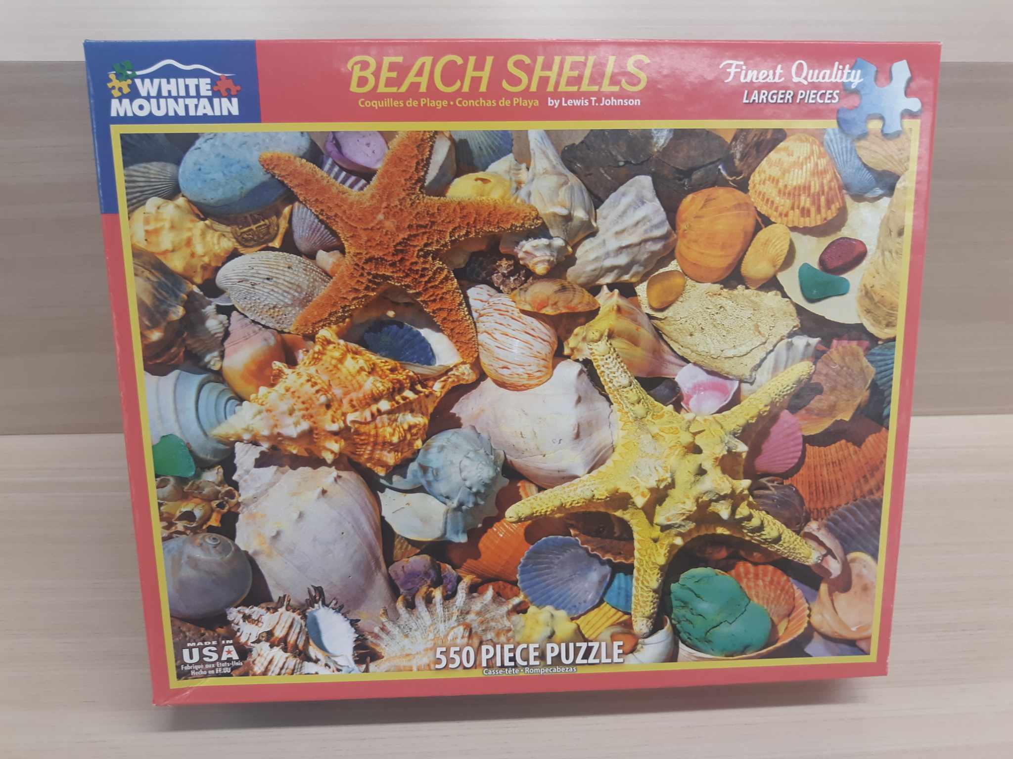 Beach shells | Bloomington Public Library
